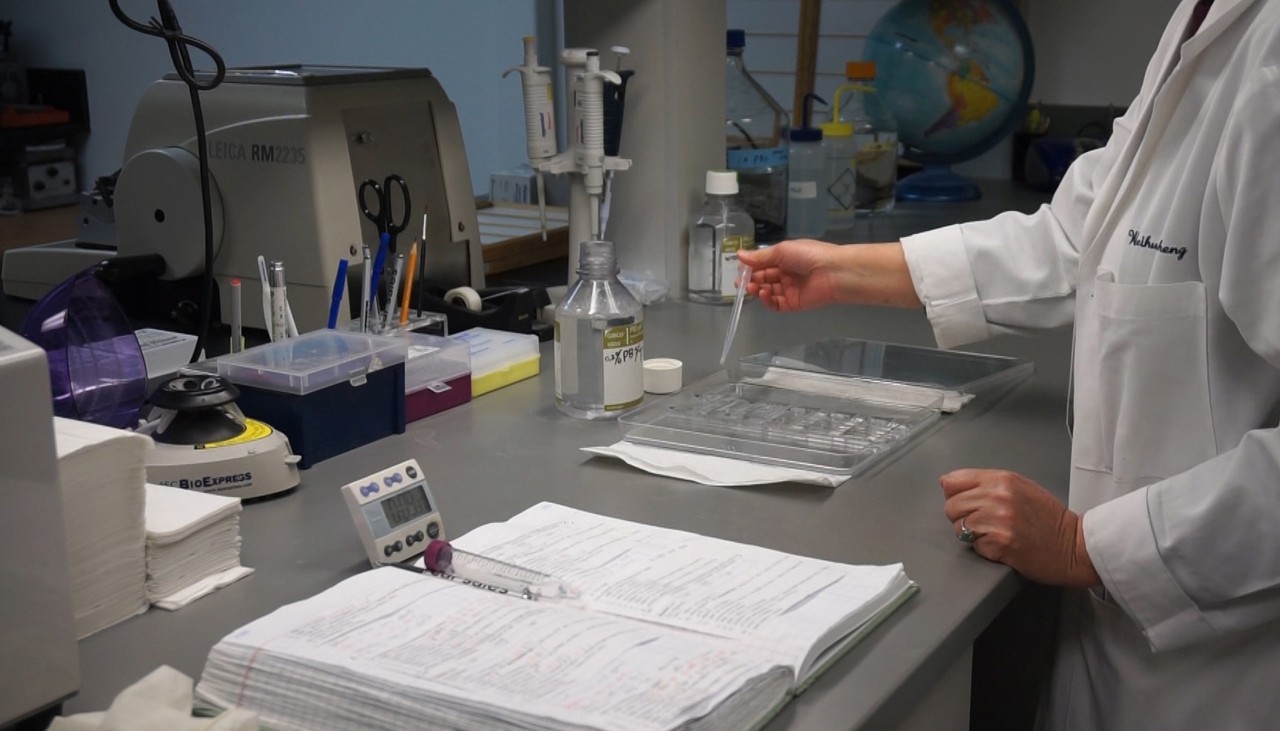 Hough Ear Institute discovers promising process for reversing hearing loss